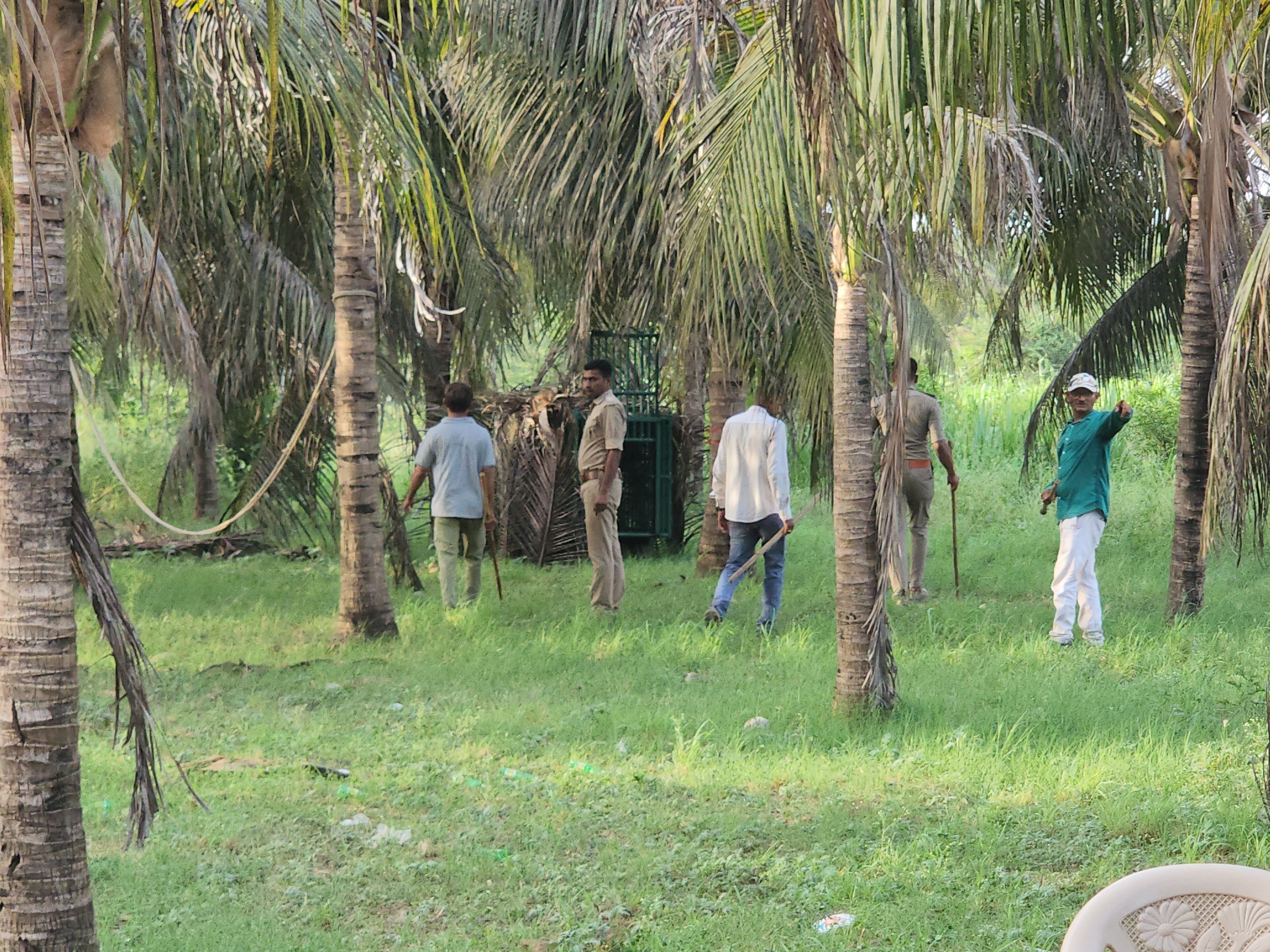 Leopard Attacks Girl in Tativeda; Caught After 48 Hours | Veraval News