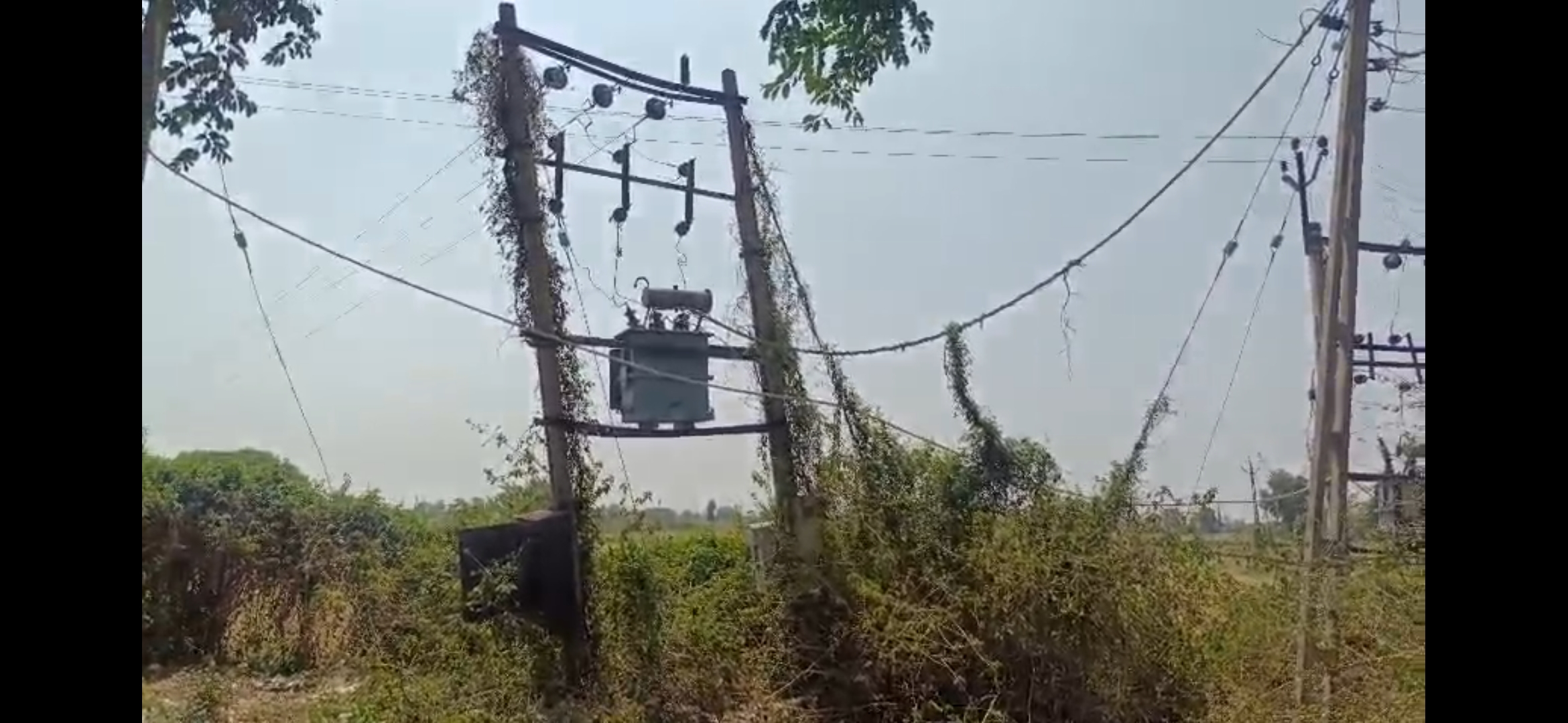 Repair live power lines in Modarsumba, Modasa taluka