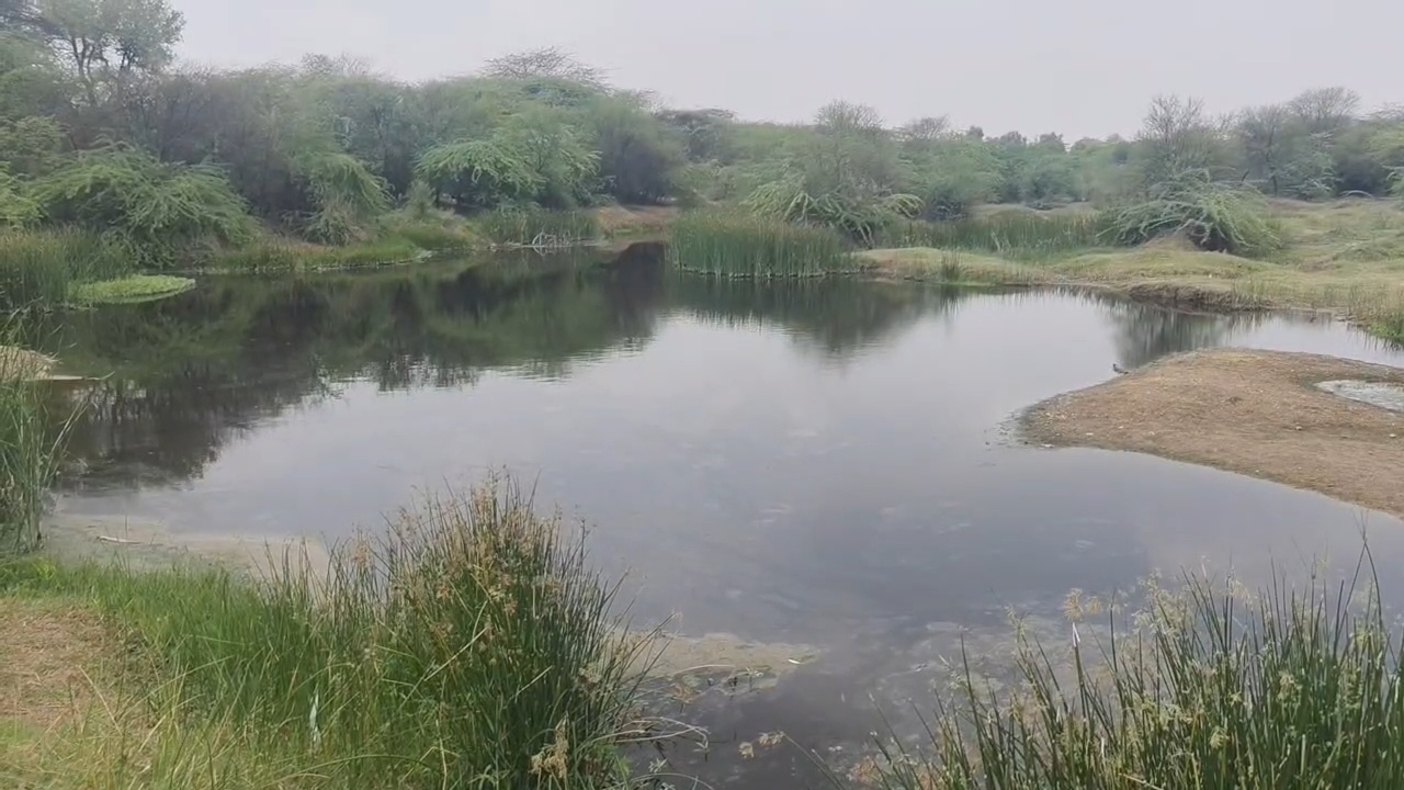 GPCB Water Sample; Khari-Rupen River Pollution Hits Farmers