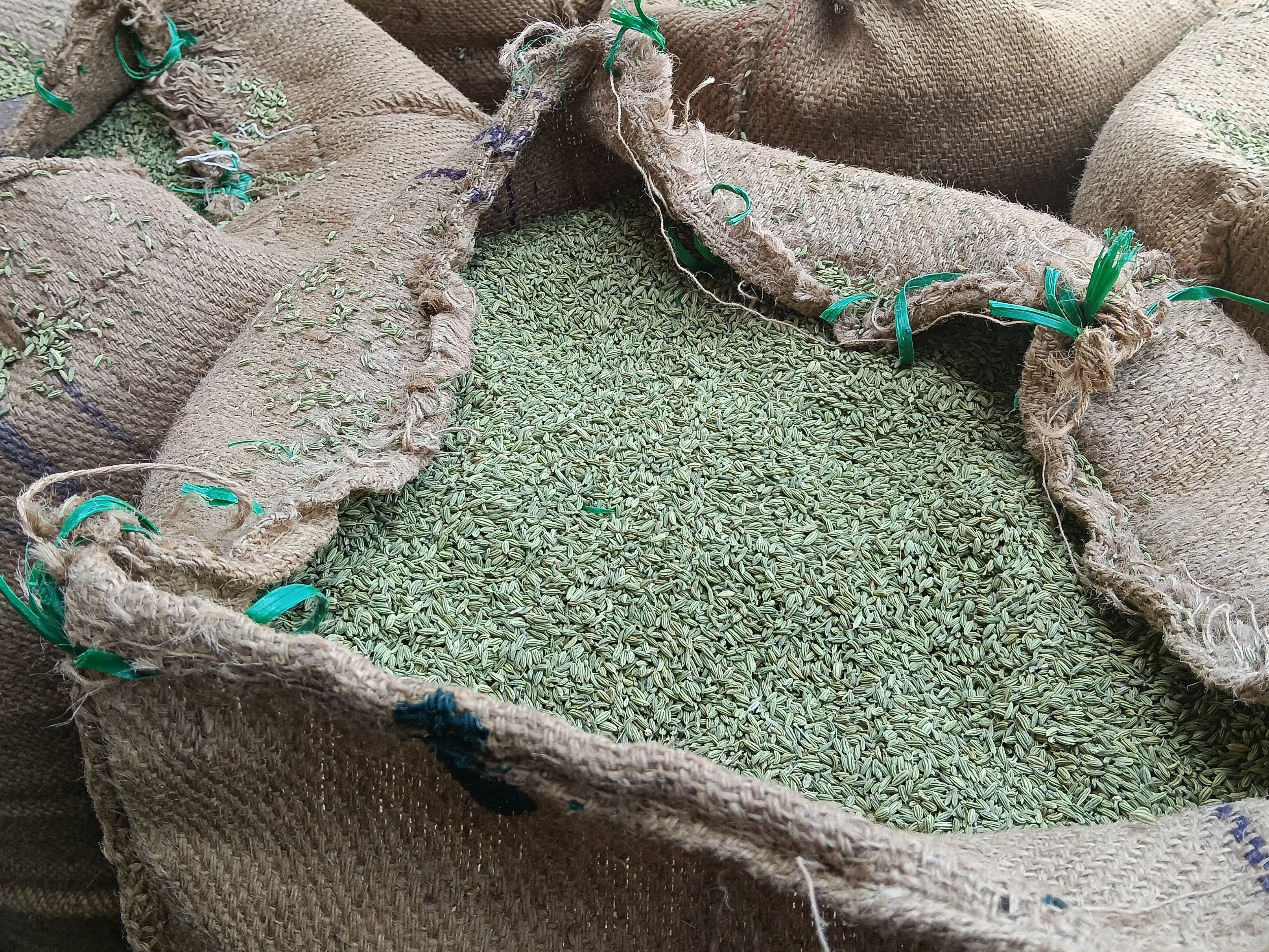 Unjha Market Jeera Prices ₹3750 | Fenugreek ₹3500-₹3600