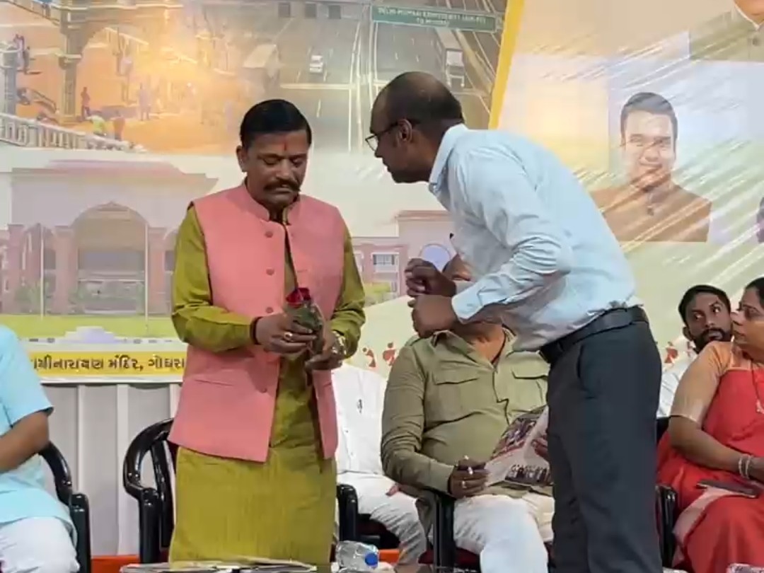 Latest Halol News (હાલોલ સમાચાર): વાંચો 13 જૂન ના તાજા સમાચાર દિવ્ય ...