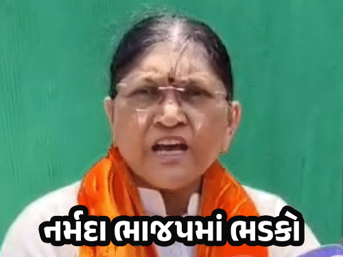 Narmada MLA Darshana Deshmukh Walks Out; Protest With MP Mansukh Vasava