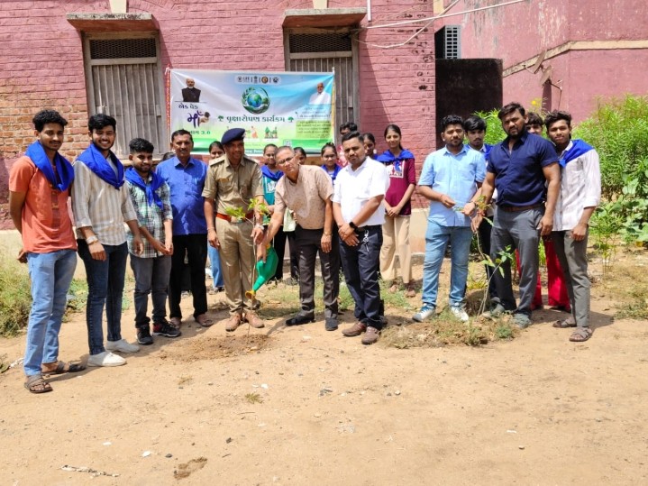 Green Chhotaudepur Campaign: Sankheda College Tree Plantation Event