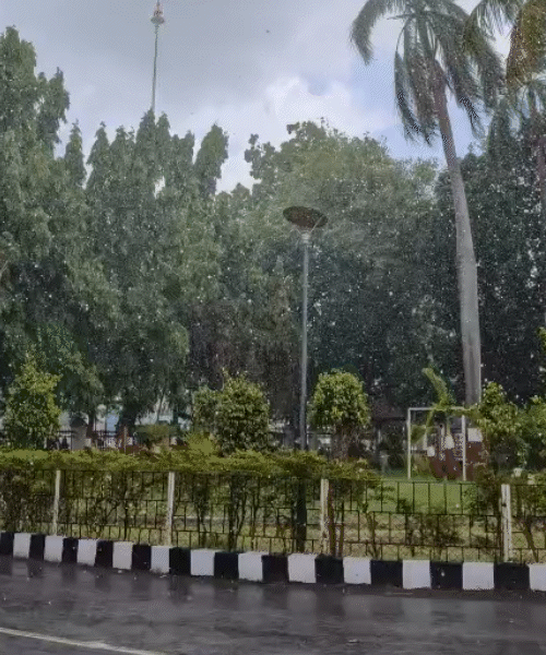 Gujarat Monsoon Rainfall Below Normal; Stronger Spells After August
