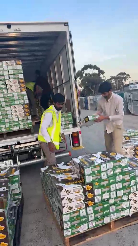Sonpari Mango Outshines Kesar | Girs Prized Fruit Fetches $70Box in US