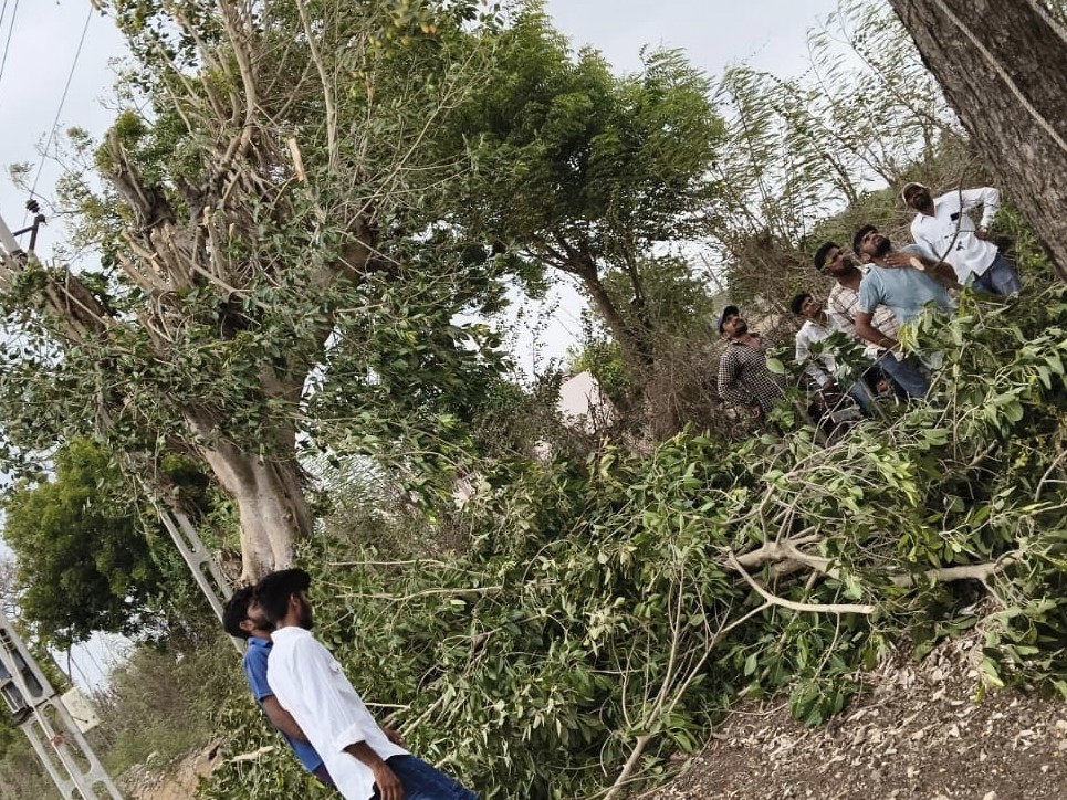 Paneli Youth Aid PGVCL Pre-Monsoon Power Line Clearance