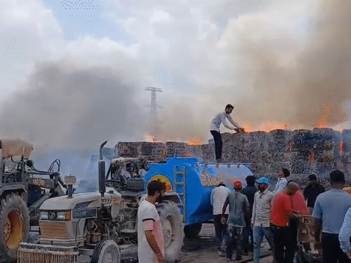 Wankaner Paper Mill Fire: Waste Catches Blaze | Morbi Fire Brigade Called
