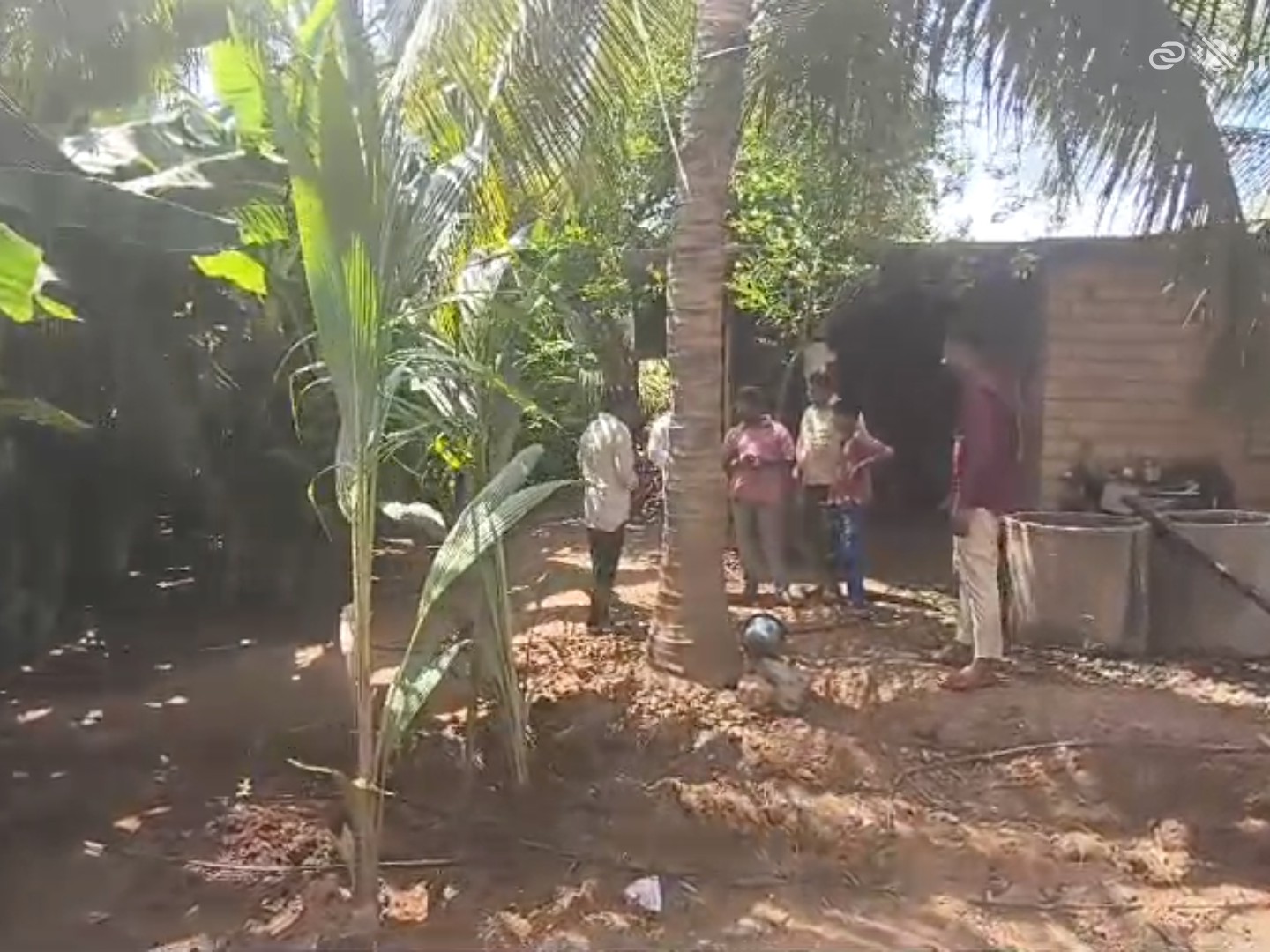 Relya Village Leopard Cubs Threaten Livestock & Villagers