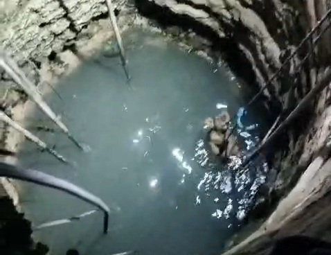 Junagadh Lion Cub Rescue From Open Well | Valand Society