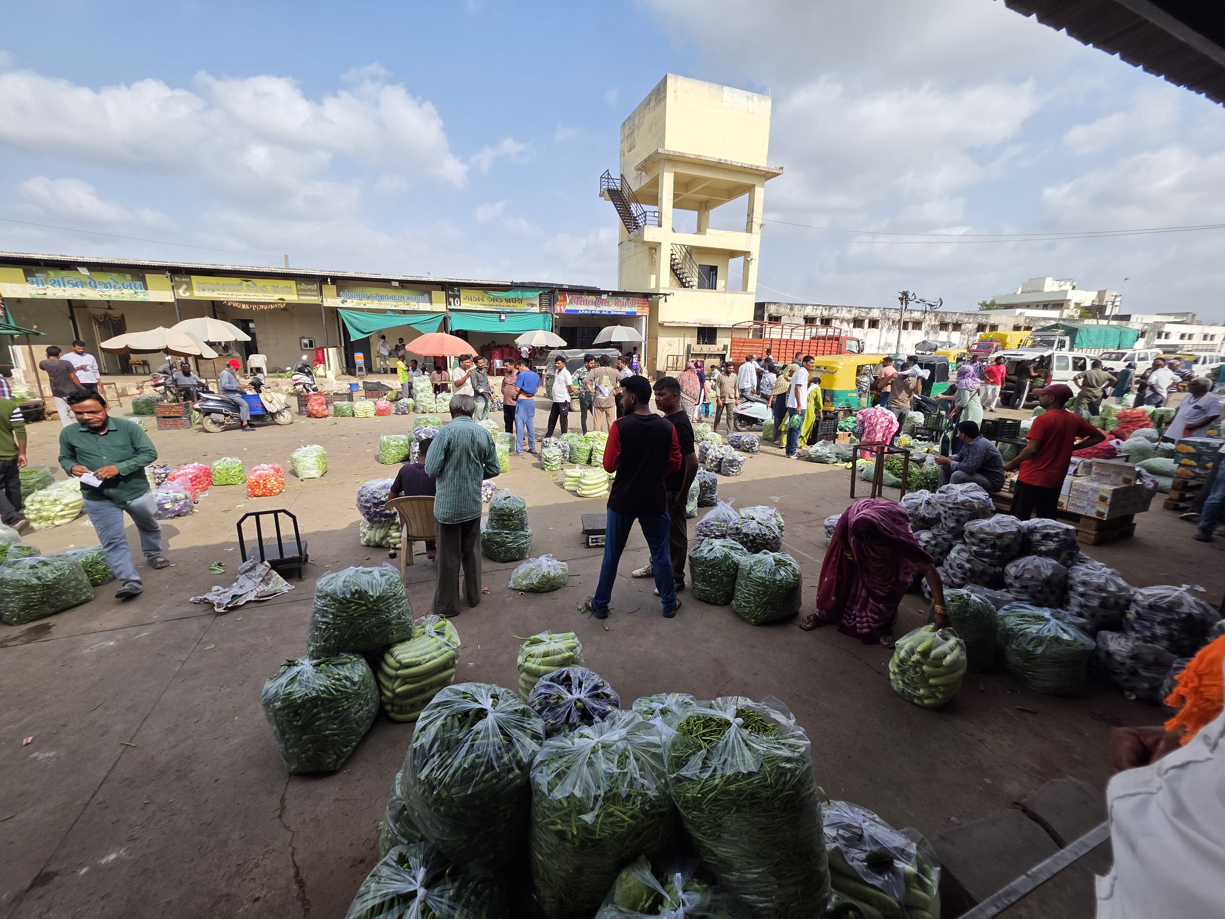 Sabarkantha Vegetable Production Decline | Farmers Troubled by Price Hike