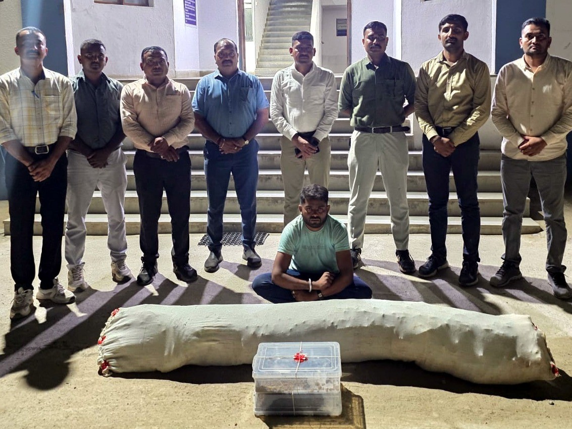 Vijaynagar Saroli 15kg Ganja Seized; One Arrested Under NDPS Act