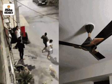Ceiling Fan Falling Gif | Shelly Lighting